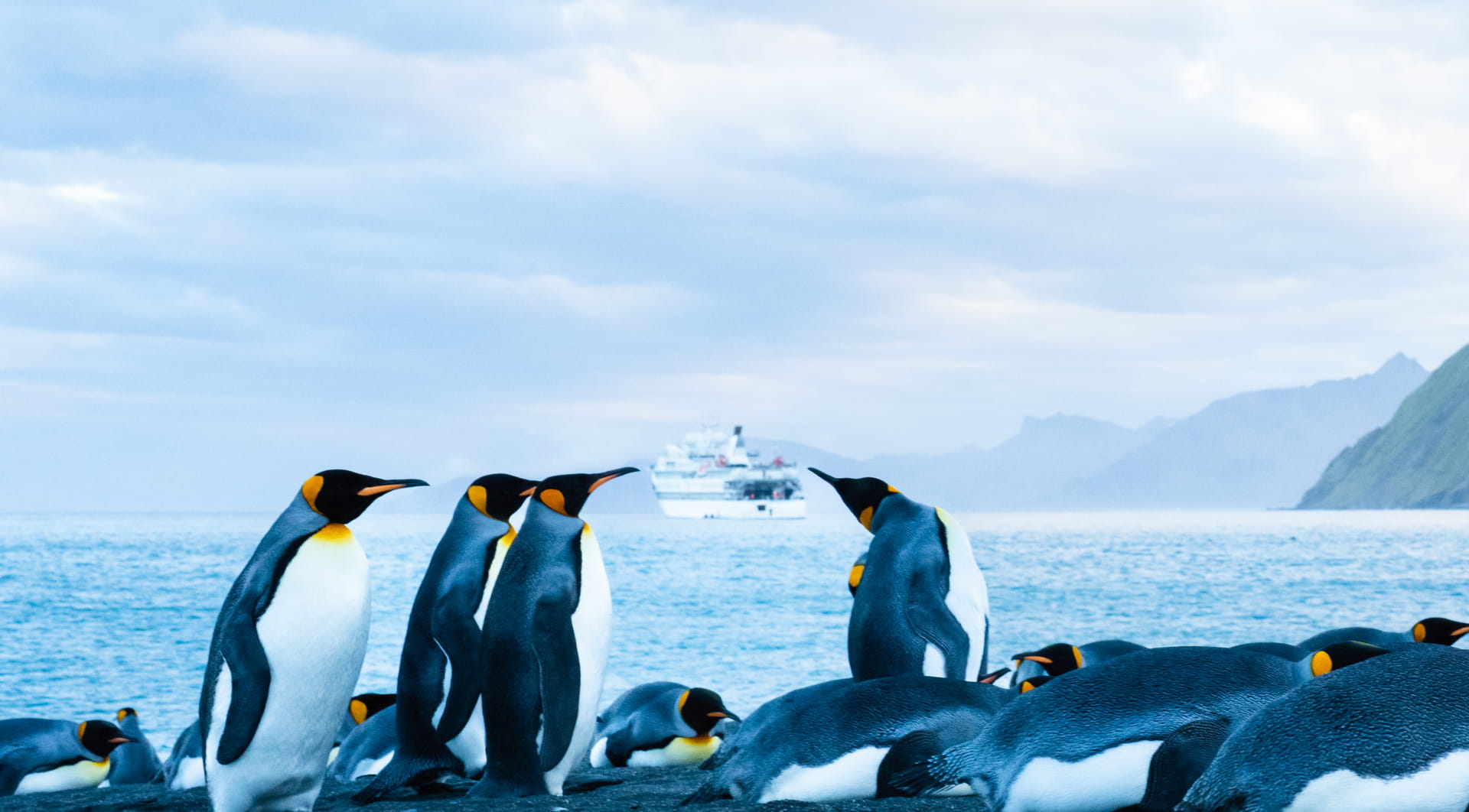 Visiting The South Sandwich Islands - Aurora Expeditions