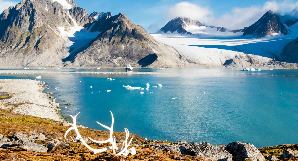 Arctic Through A Camera Lens: “Global Arctic Awards” Awards Its Winners ...