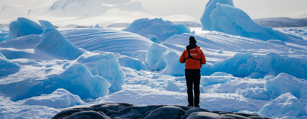 Aurora Expedition Booking Options - Rebook Guarantee & More - Aurora Expeditions