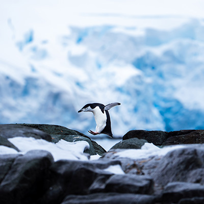 Douglas Mawson | Our New, Purpose-Built Small Ship - Aurora Expeditions