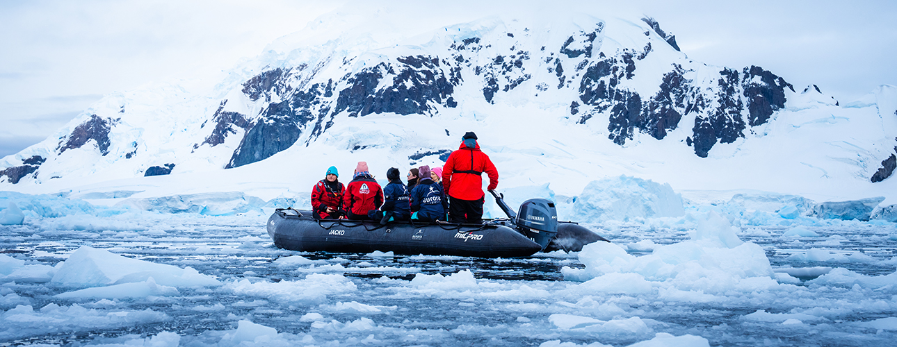 WWF Southern Hemisphere Oceans and Whales Expedition 2027 | Aurora ...