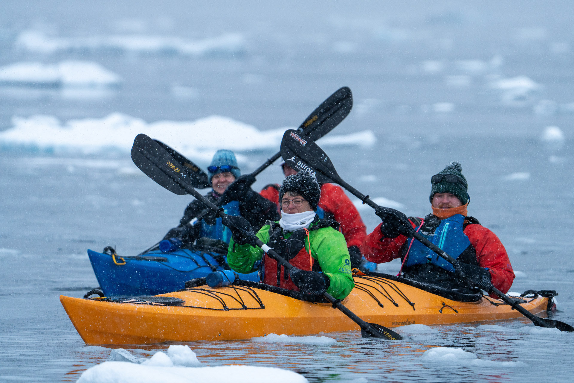 Antarctic Circle Expedition Cruises: Explore Today - Aurora Expeditions